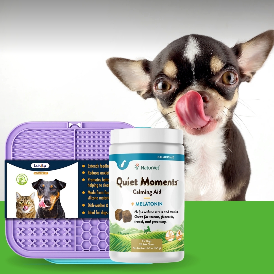 Calming Solutions for Dog Anxiety: Top Products & Tips | HappyBarker